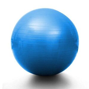 Gym / Fitness Ball | Kinesio Physio